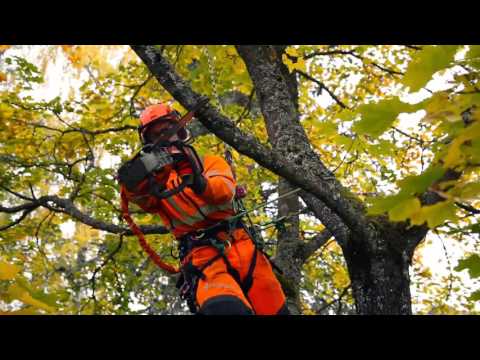 Husqvarna chainsaws' easy to use eye let