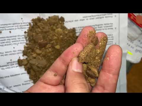 Mustard Oil Cake - Mustard De Oiled Cake Latest Price, Manufacturers ...