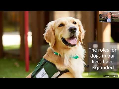 Dr. Maggie O'Haire on Human-Animal Interaction Research