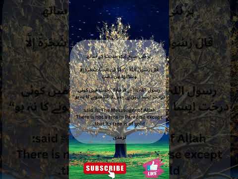 tree in jannah