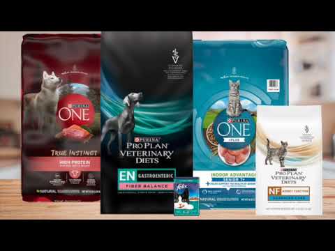 Food Processing Company Research Project SD 480p