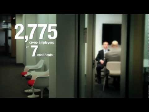 Northeastern University Jobs PSA