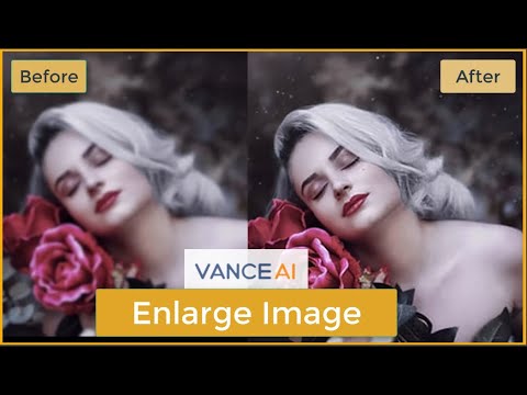 How to enlarge image online with Vance AI Image Enlarger(Low to High)