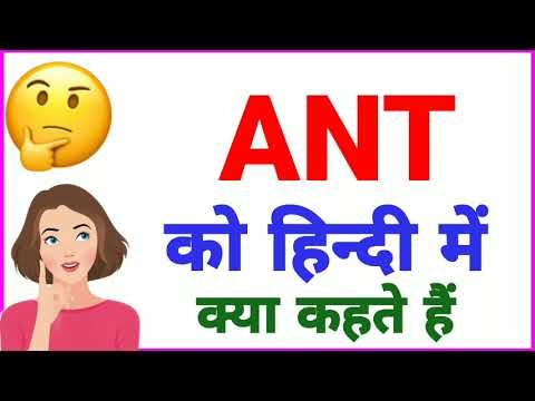 Ant ko hindi mein kya kahate hain | Ant ka matlab kya hota hai | Ant ka hindi word