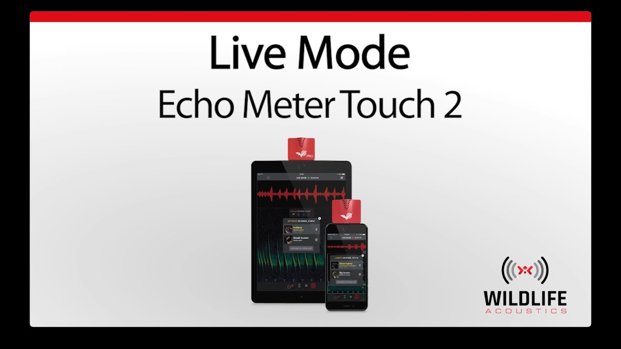 Echo Meter Touch 2 #3: Live Mode | Record Bat Sounds