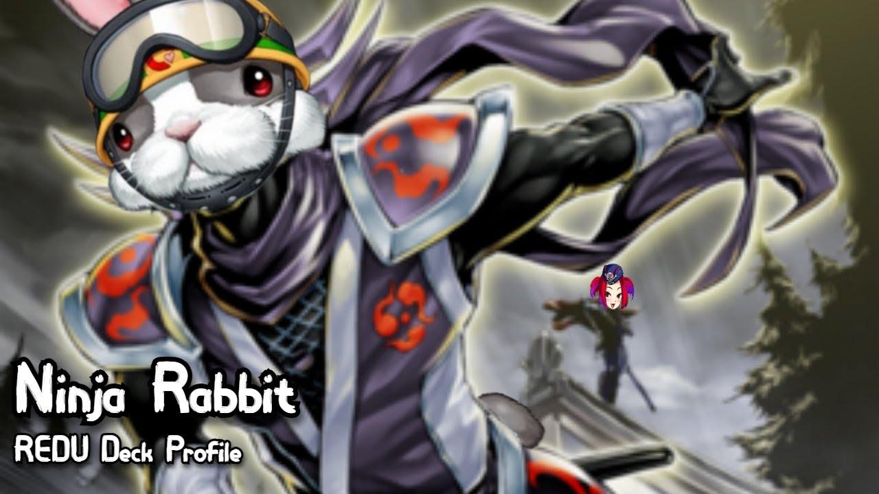 REDU Format Deck Profile: Ninja Dino-Rabbit