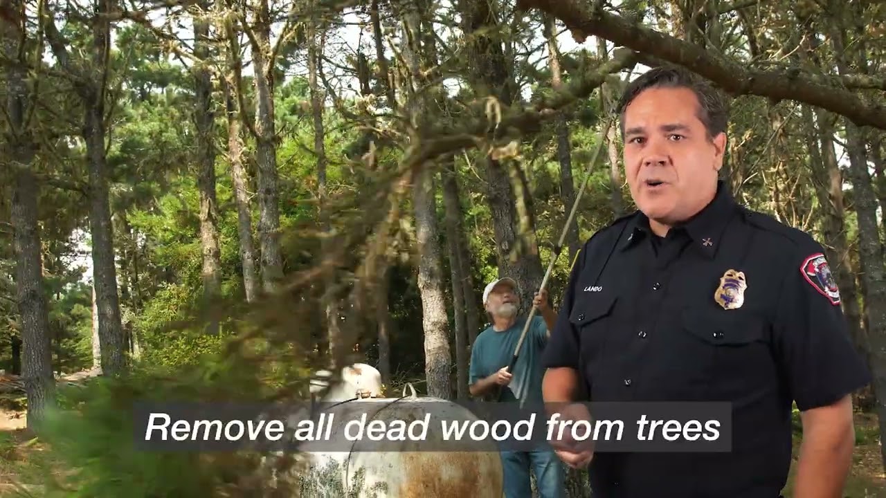 How to Prune Your Trees for Wildfire