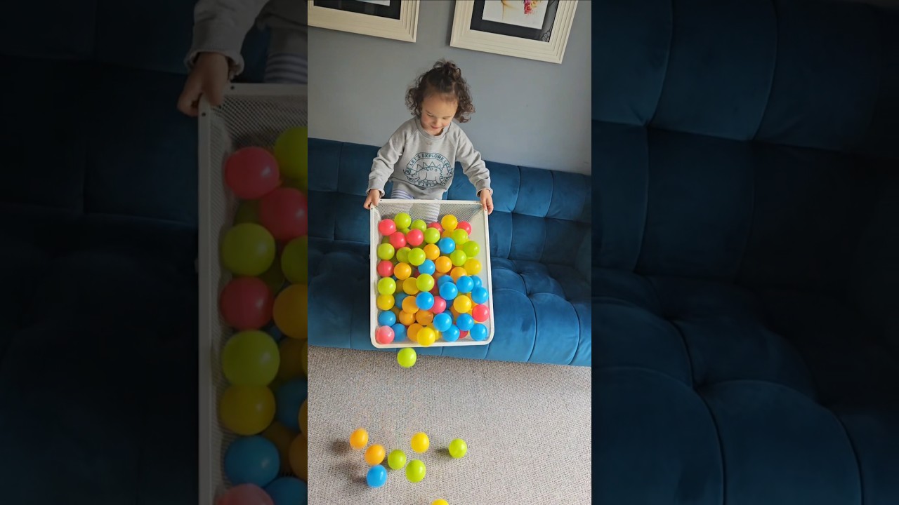 Let's play with new toys