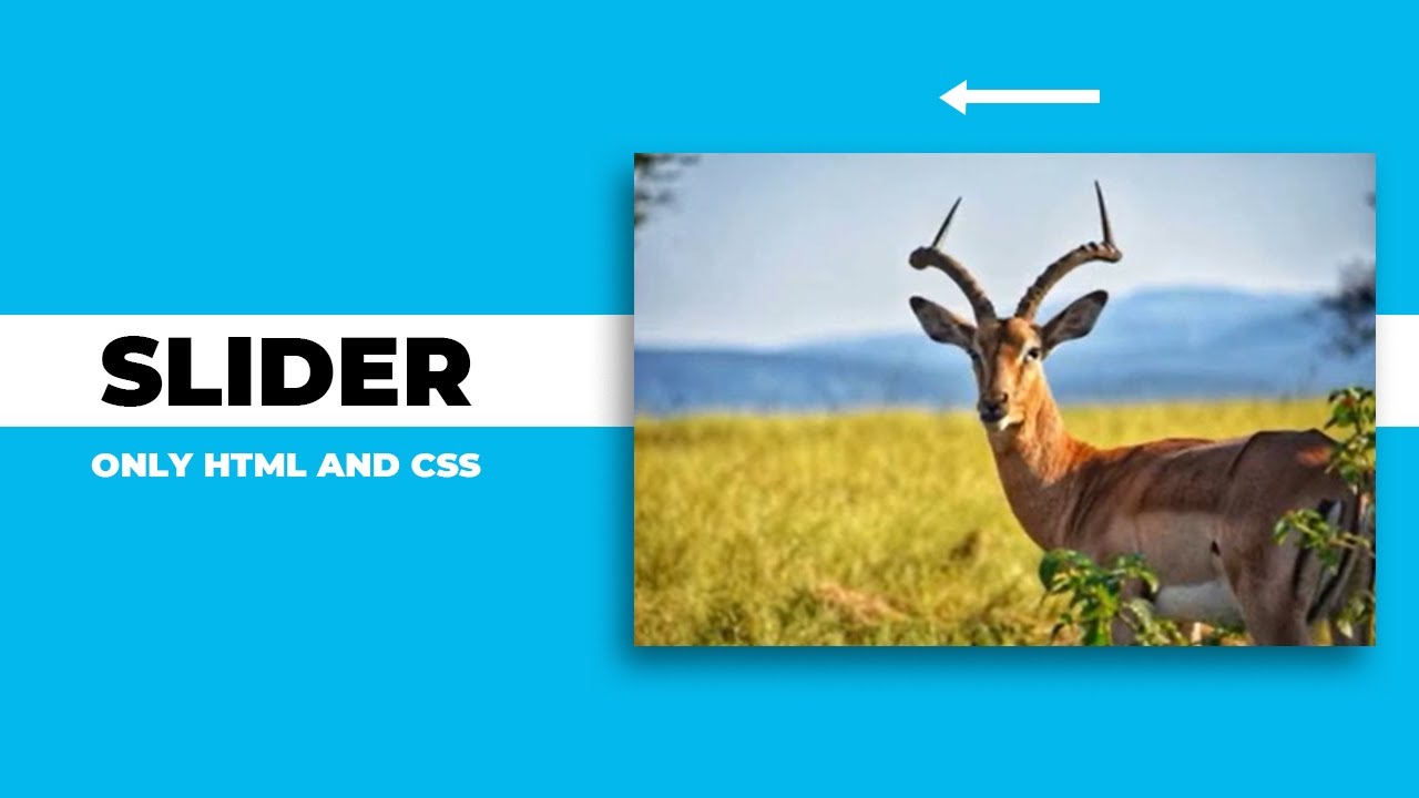 Stunning Image Slider using HTML CSS Only | HTML CSS Slider