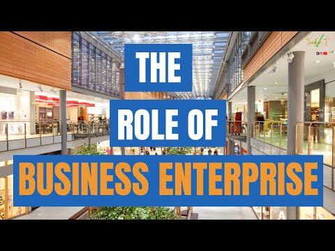 The Role of Business Enterprise Discussed 📌