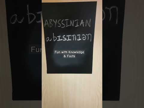 How to pronounce ABYSSINIAN?