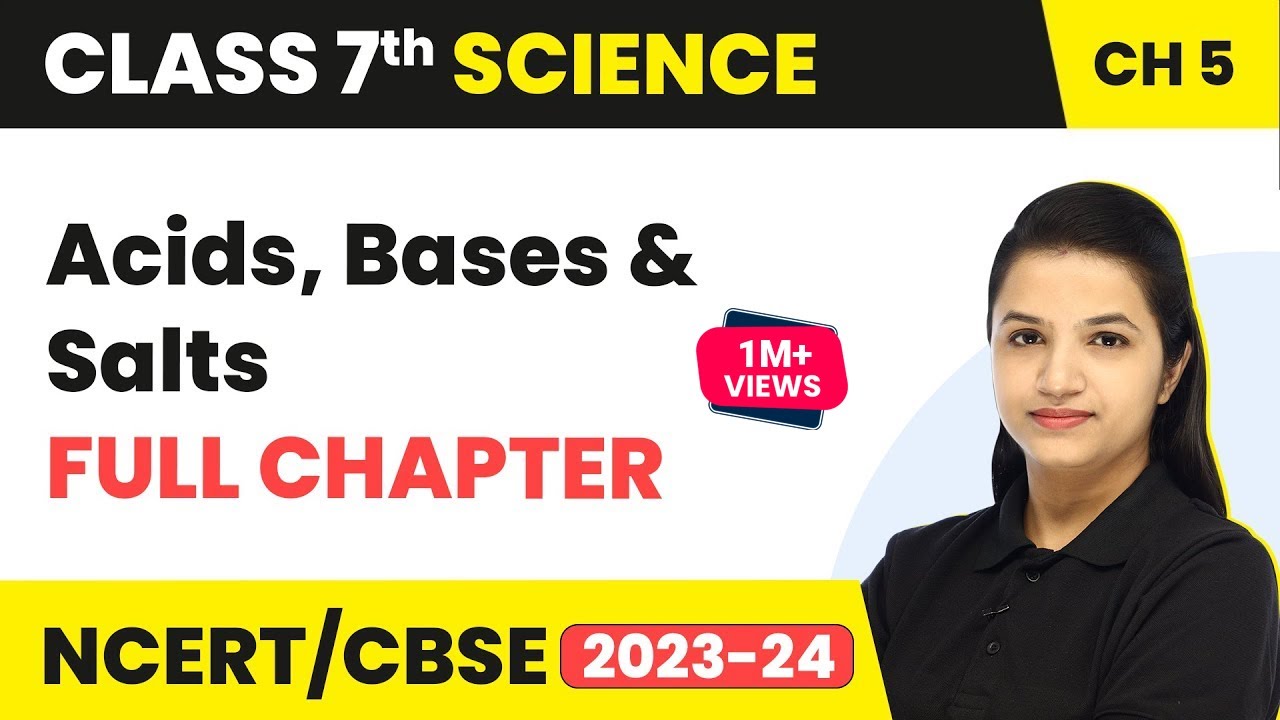 Understanding Acids, Bases, and Salts: A Comprehensive Guide for Class ...