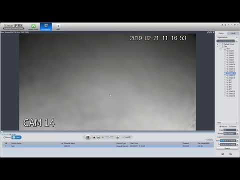 Dahua Smart PSS Video Download to PC