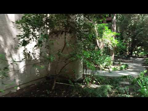 7150 Carlson Cir #65, Canoga Park, CA 91303 New