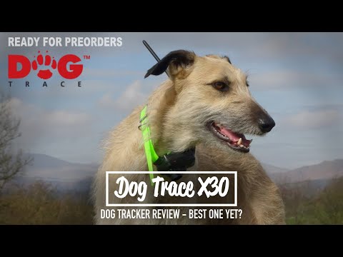 Dog Trace X30 - Review & Preorders