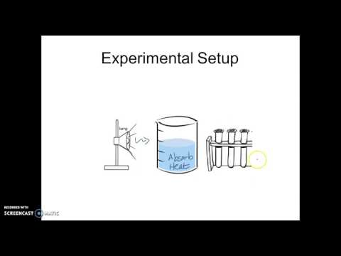 Understanding the DCPIP Lab