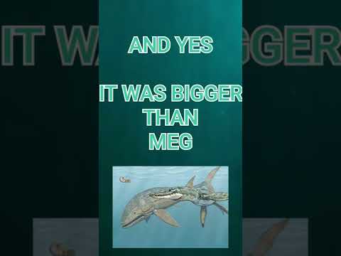 LEEDSICHTHYS #facts #paleontology
