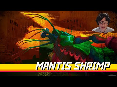 Steam Community :: Video :: Mantis Shrimp - DAVE THE DIVER 10