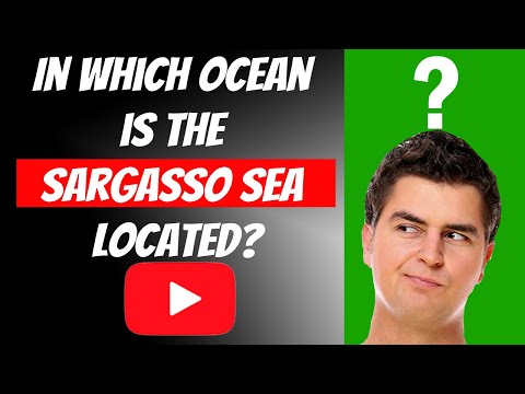 In which ocean is the Sargasso Sea located