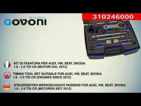 310246000 - TIMING TOOL SET FOR VW GROUP 1.6 - 2.0 TDI CR ENGINES - YEAR 2012