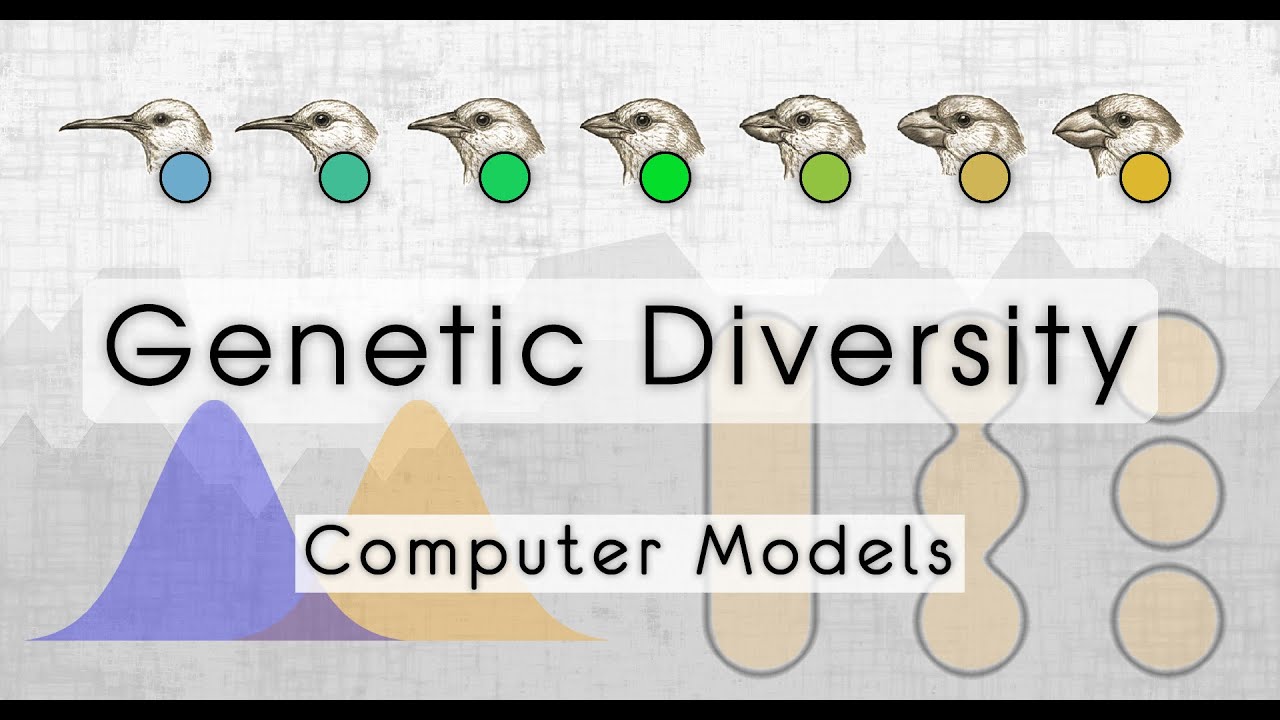 How Species Evolve: Simulating Genetic Diversity