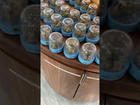 Cookies Dispensary California