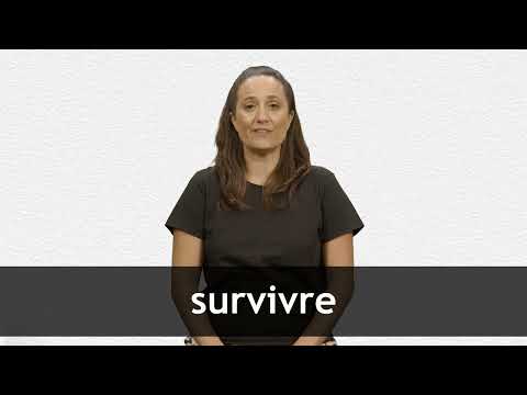 English Translation of “SURVIVRE” | Collins French-English Dictionary