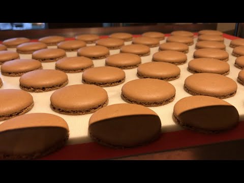 Macaron Making with Italian Meringue Recipe #macaron #macaronshells #macarons #frenchmacarons