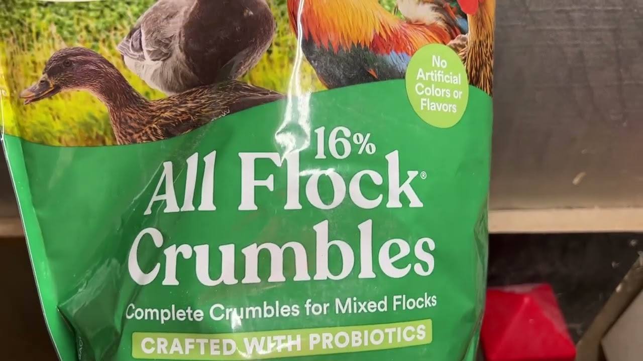 Manna Pro All Flock Crumbles Review