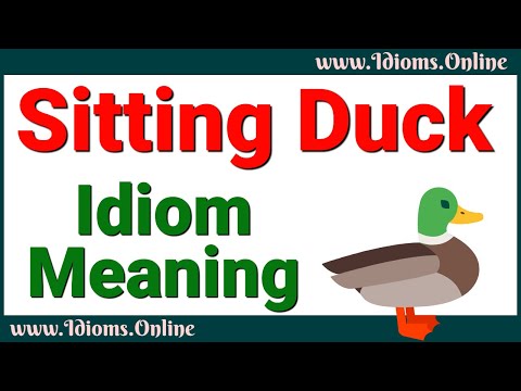 Sitting Duck Idiom Meaning