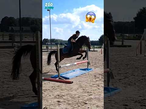 VOOR HET EERST EEN WATERBAK HINDERNIS SPRINGEN!π± #paarden #shorts