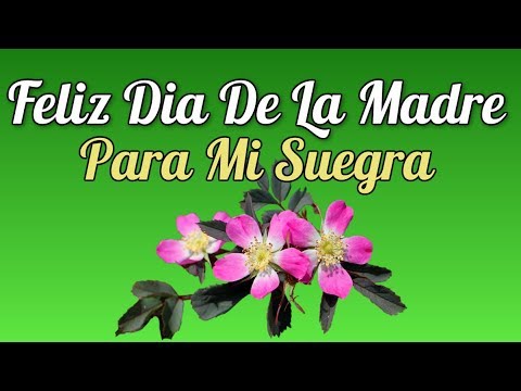 Feliz Dia De La Madre Para Mi Suegra