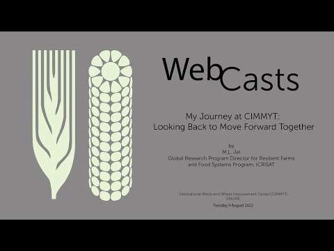 My Journey at CIMMYT: Looking Back to Move Forward Together