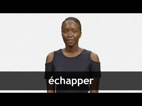 English Translation of “ÉCHAPPER” | Collins French-English Dictionary