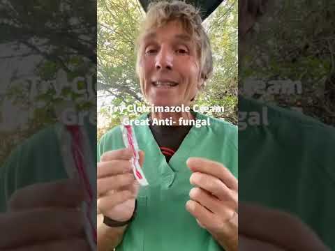 Dog on Allergy Meds, Atopica, Apoquel NOT working- Try this inexpensive cream!