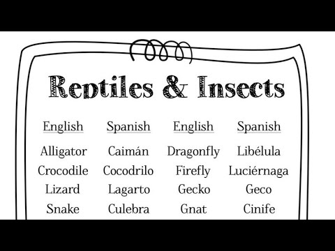 Reptiles and Insects in Spanish #spanish #foryou #español #explorepage #language #viral #bilingual