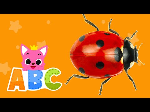 Learn ABCs with Pinkfong: Ladybug, Flea, Honeybee | ABC Song, Bugs Names | Pinkfong ABC for kids
