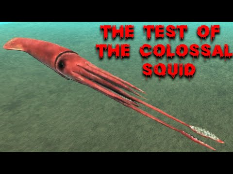 WHAT IS A COLOSSAL SQUID CAPABLE OF | ANIMAL REVOLT BATTLE SIMULATOR