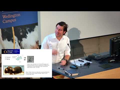 Dr Christoph Goebl - Research Innovation Forum 2025