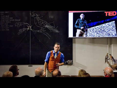 The Next Flight of the Passenger Pigeon: Engineering Nature's Engineers | Ben Novak