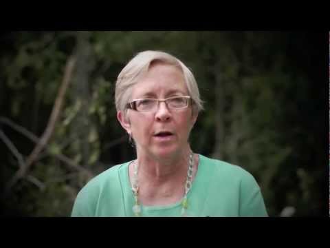 Bank of America: Stop Funding Dirty Coal