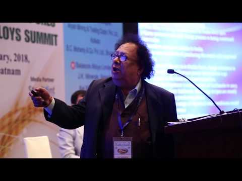 AVLN Presentation on Reductant for Ferro Alloys Part 3