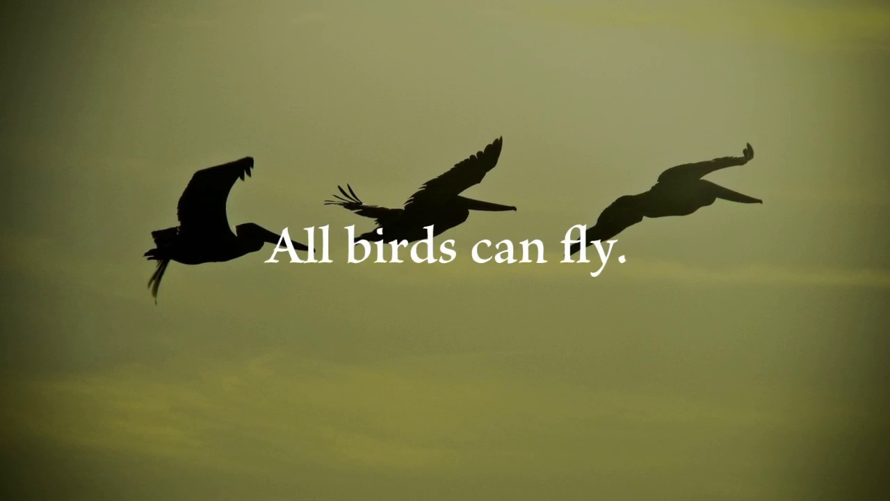 Counterexample (Lesson)