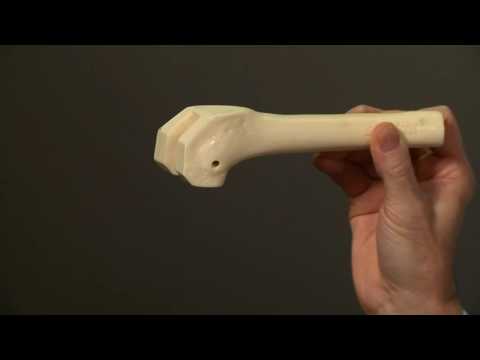 Model of a Thigh Bone (Femur)