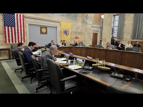 AG Matt Platkin defends record at Senate budget hearing