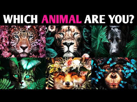 WHICH ANIMAL MATCHES YOUR PERSONALITY? QUIZ Personality Test - Pick One Magic Quiz