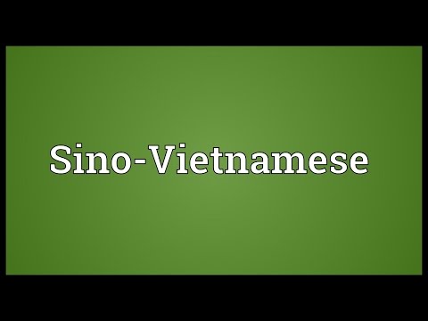 Sino-Vietnamese Meaning