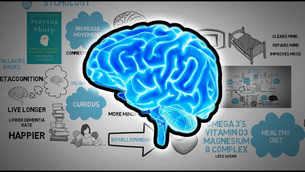 How to Exercise your Brain - Staying Sharp Animated Book Review