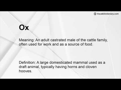 Ox Meaning
